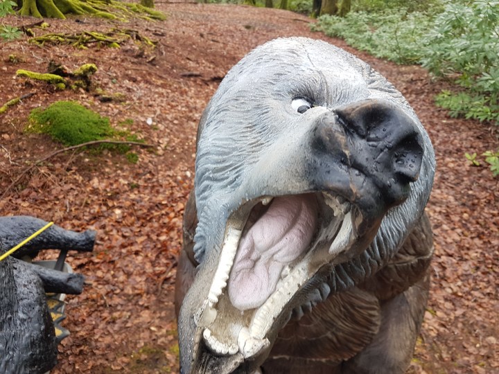 Field Archery Course Setting – finding new shots – Field Archery Magazine